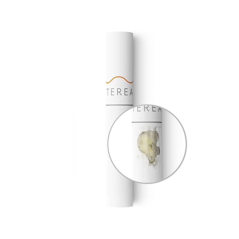 C1402_GLOBAL | IQOS Indonesia