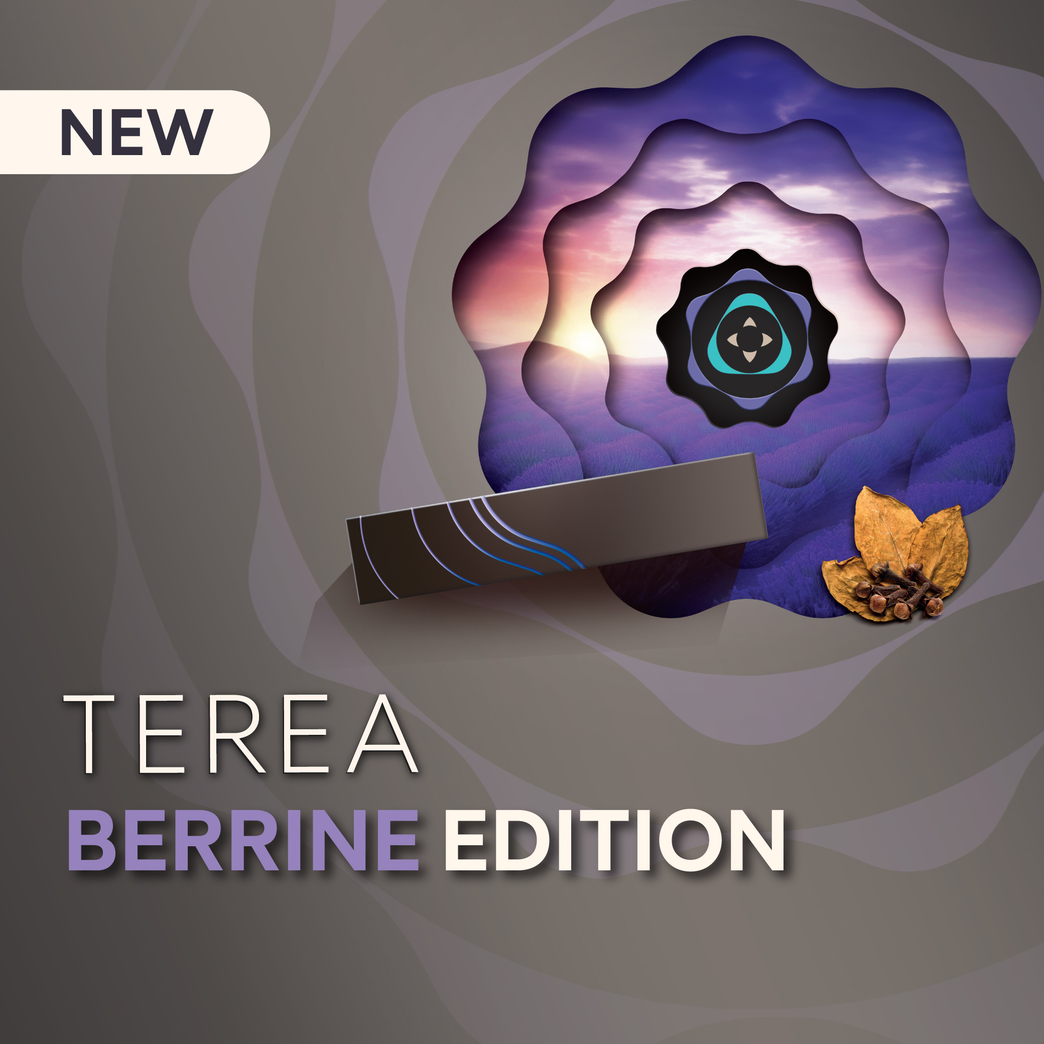 IQOS Produk Perangkat Alternatif Bebas Asap Dengan Teknologi Tembakau ...