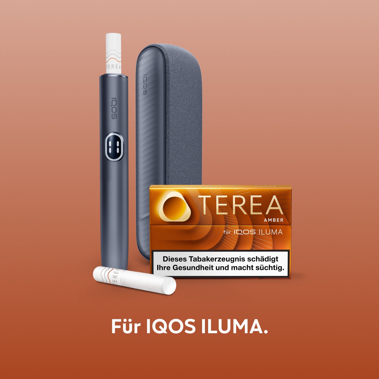 TEREA Amber kaufen | Für IQOS ILUMA | IQOS DE