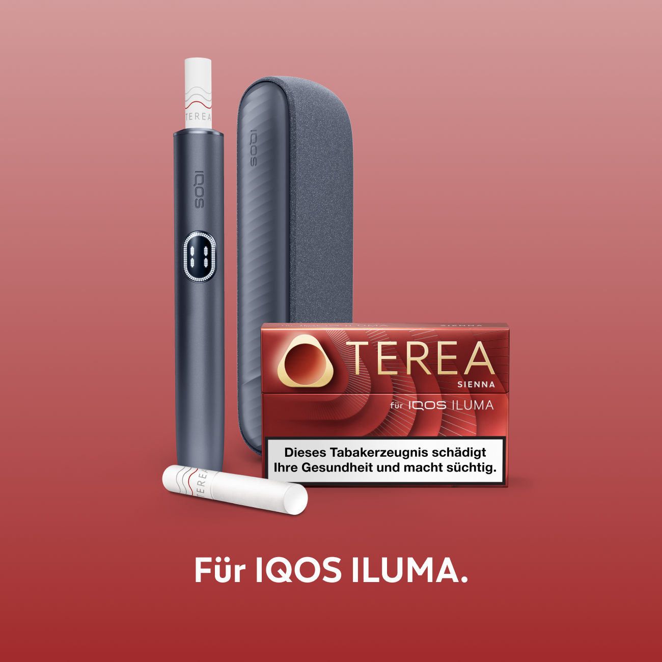 TEREA Sienna kaufen | Für IQOS ILUMA | IQOS DE